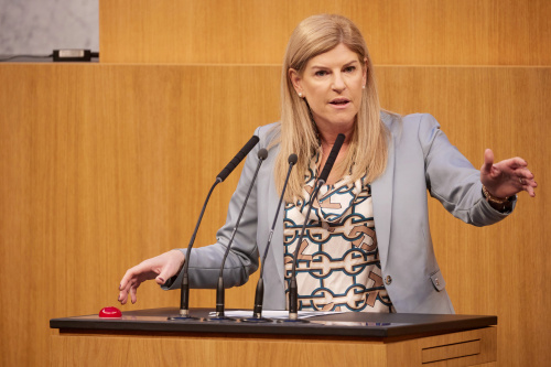 195. Sitzung des Nationalrates in der 27. Gesetzgebungsperiode ...