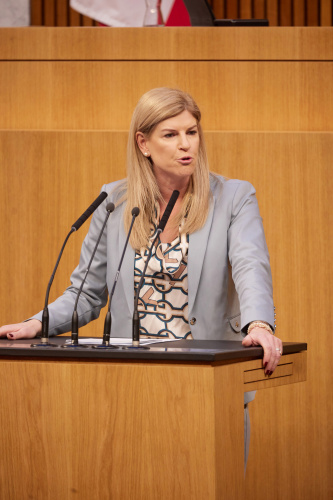 195. Sitzung des Nationalrates in der 27. Gesetzgebungsperiode ...