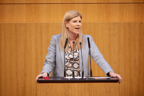 195. Sitzung des Nationalrates in der 27. Gesetzgebungsperiode ...