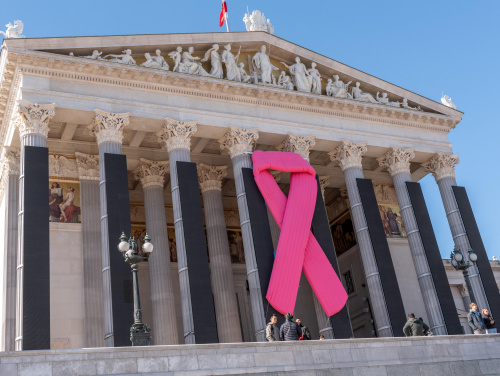 Pink Ribbon 2024 | Parlament Österreich